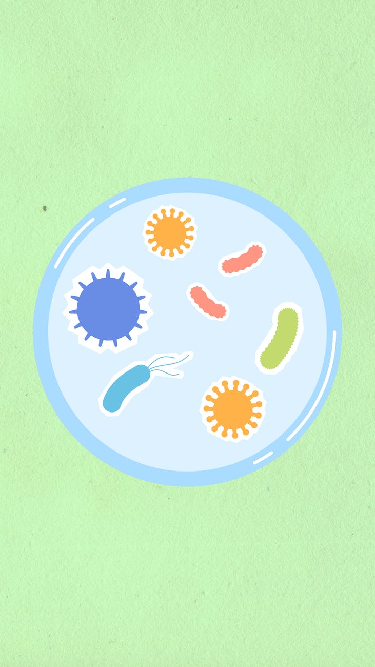 What is the largest cell in the human body? · Get a professor