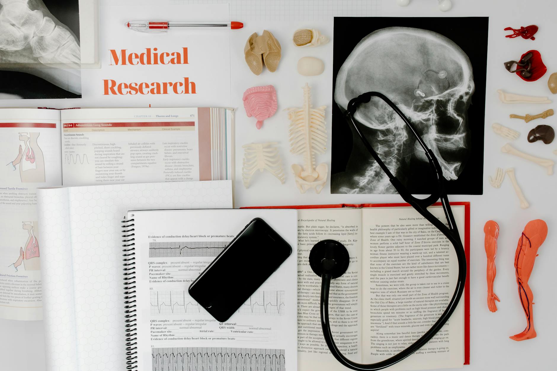 What is the study of physiology? · Get a professor